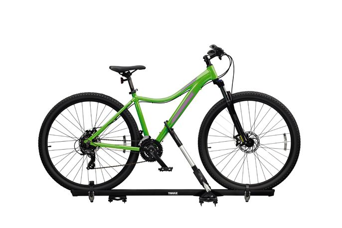 Everything You Need to Know About Car Bike Racks | Capital One Auto ...