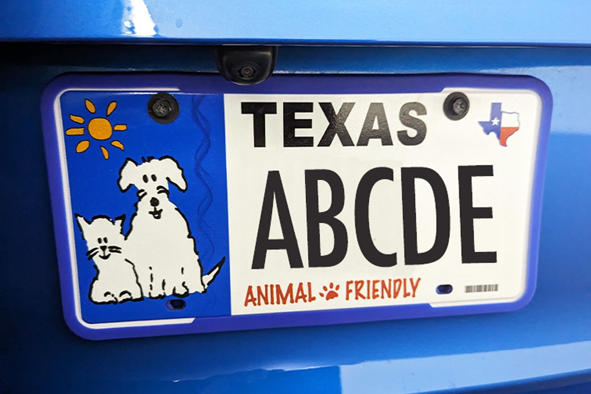 How Special License Plates Can Be a Revenue Stream for Nonprofits ...