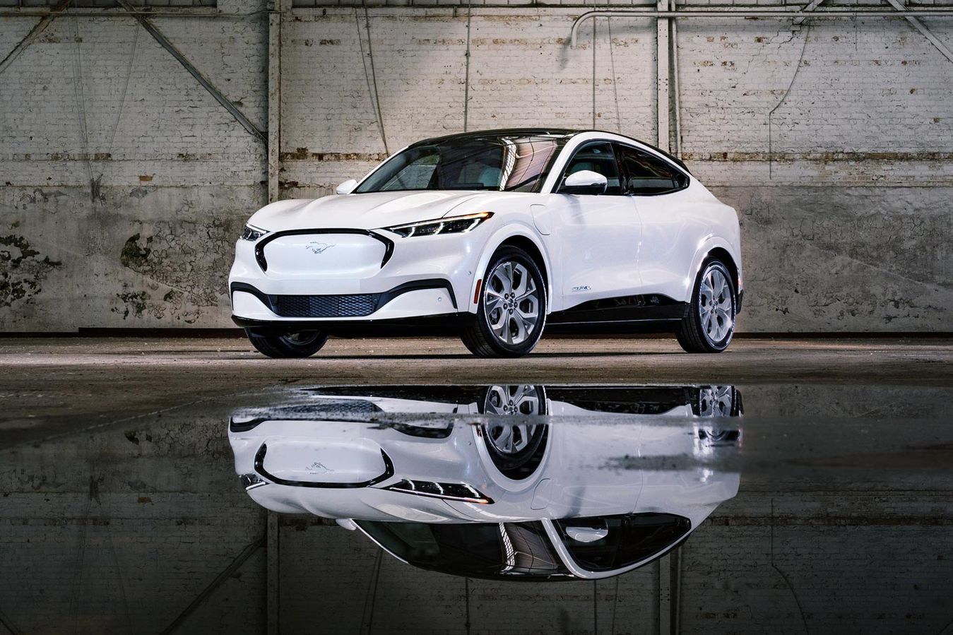 Here Are All the EV SUVs Available Right Now | Capital One Auto Navigator
