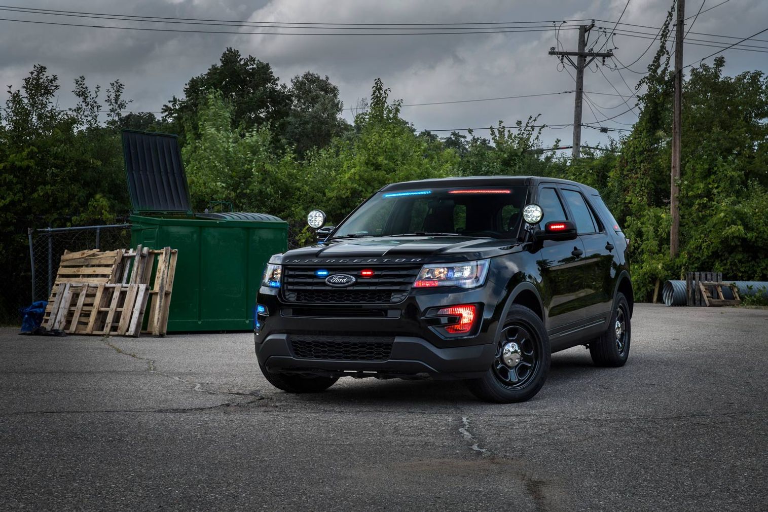 What Is a Fleet Car, and Should You Buy One? | Capital One Auto Navigator