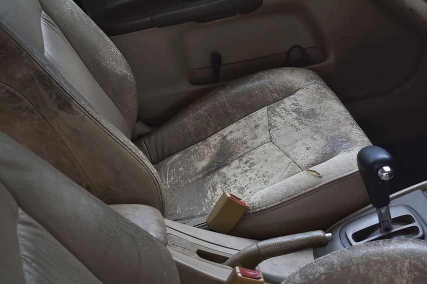 How to Find Your Car's Interior Color Code | Capital One Auto Navigator