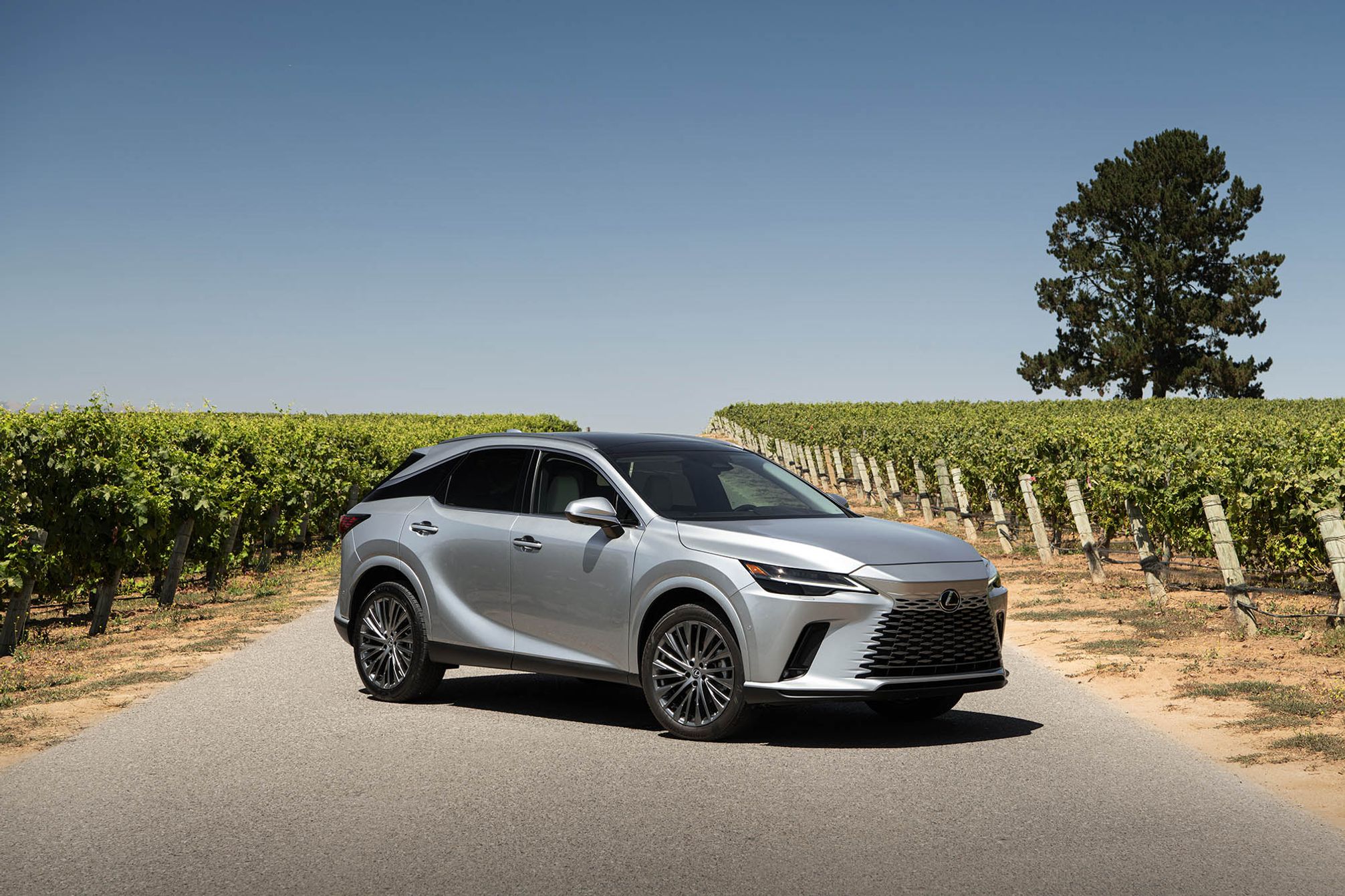10 SUVs With the Best MPG for 2023 | Capital One Auto Navigator