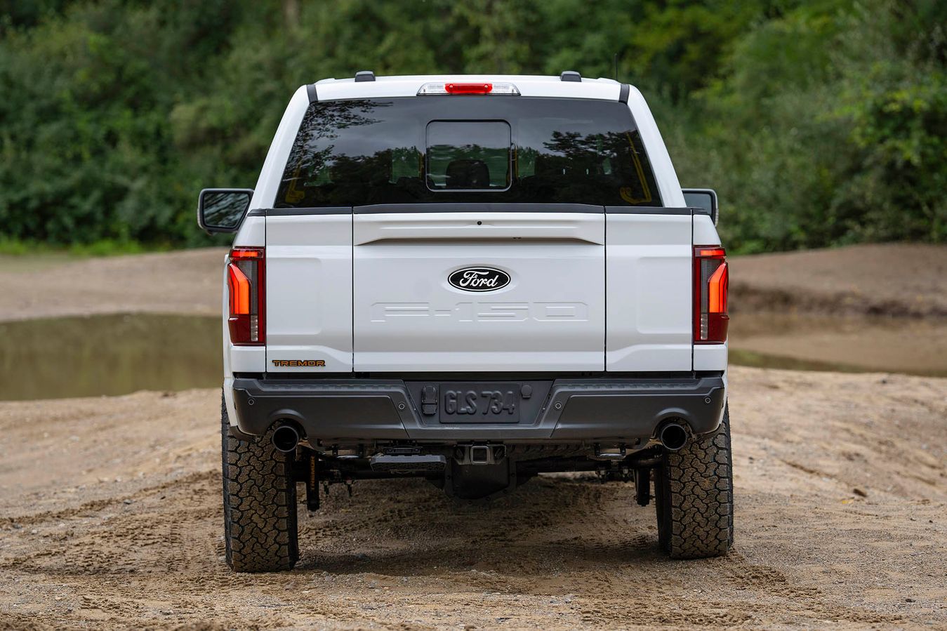 What to Know About the Ford F-150's Pro Access Tailgate | Capital One ...