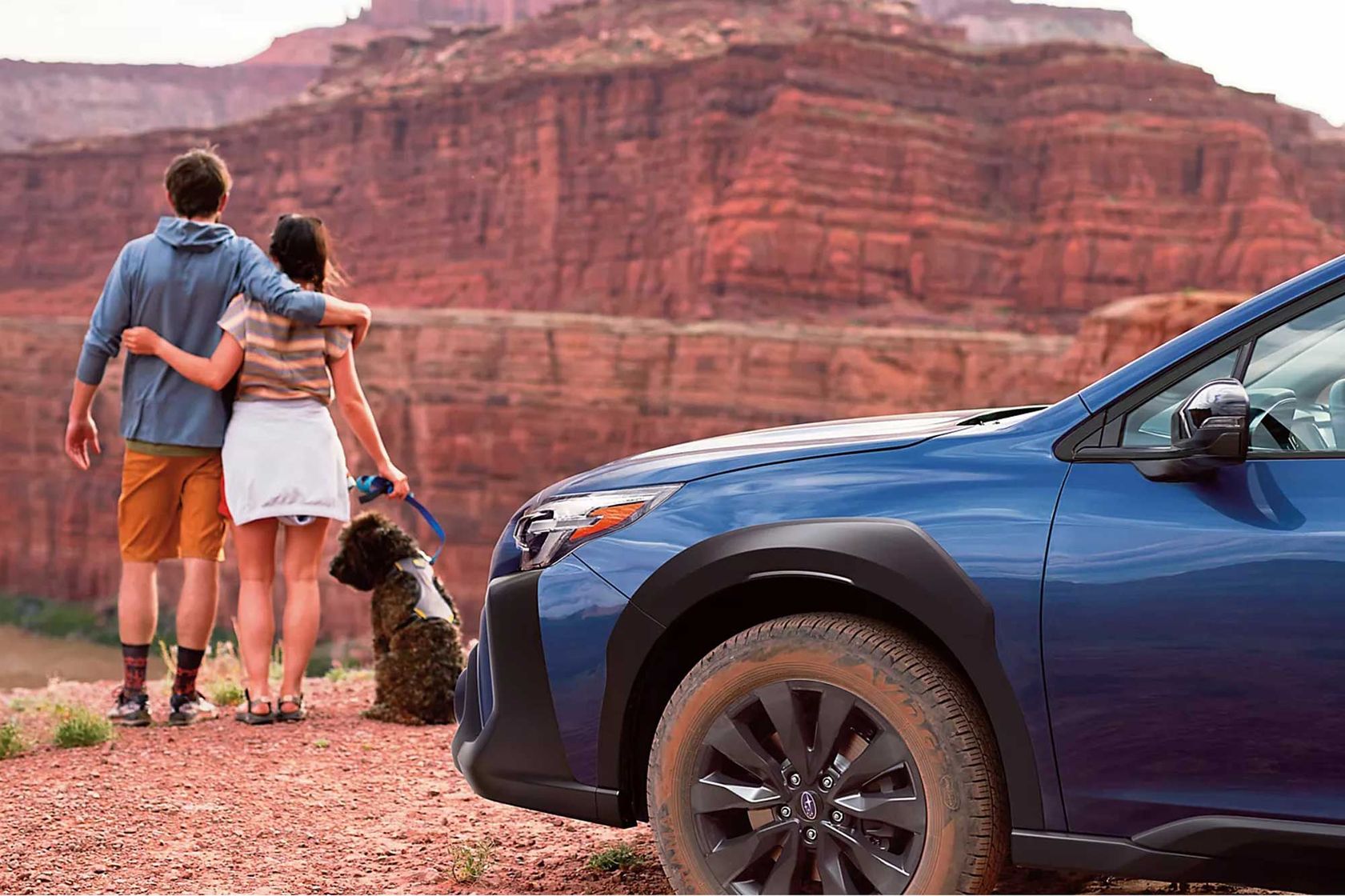 5 of the Best Vehicles for Traveling With Pets | Capital One Auto Navigator