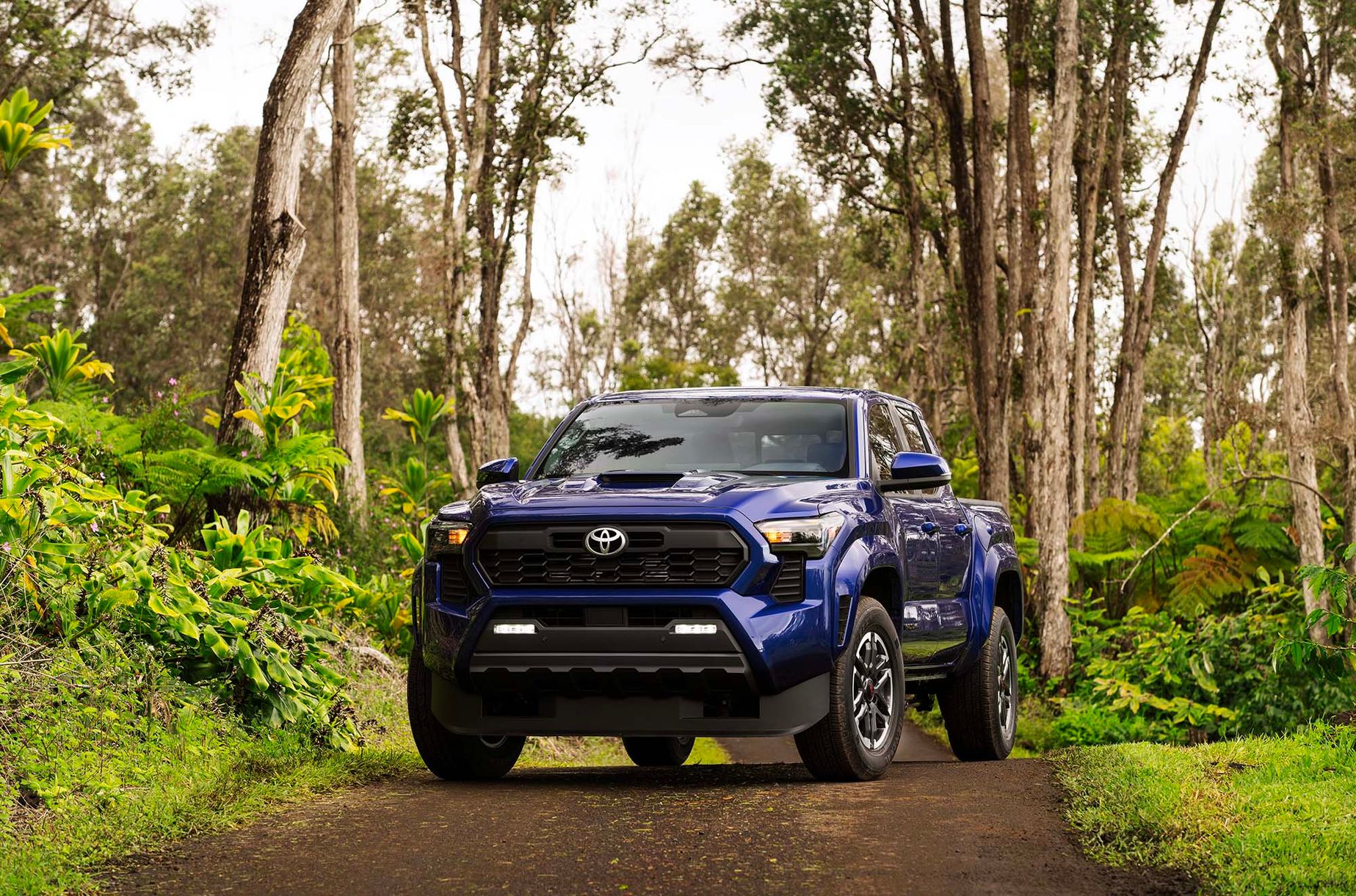 The Toyota Tacoma Is the Last Pickup With a Manual Transmission ...