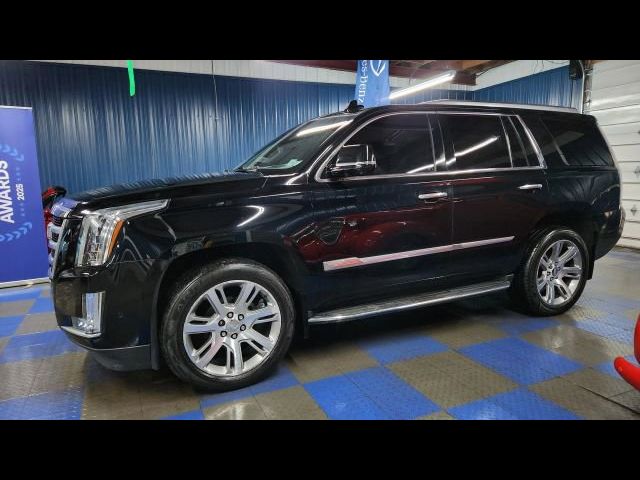 Used 2026 Cadillac Escalade RWD Luxury For Sale in Youngstown, OH ...