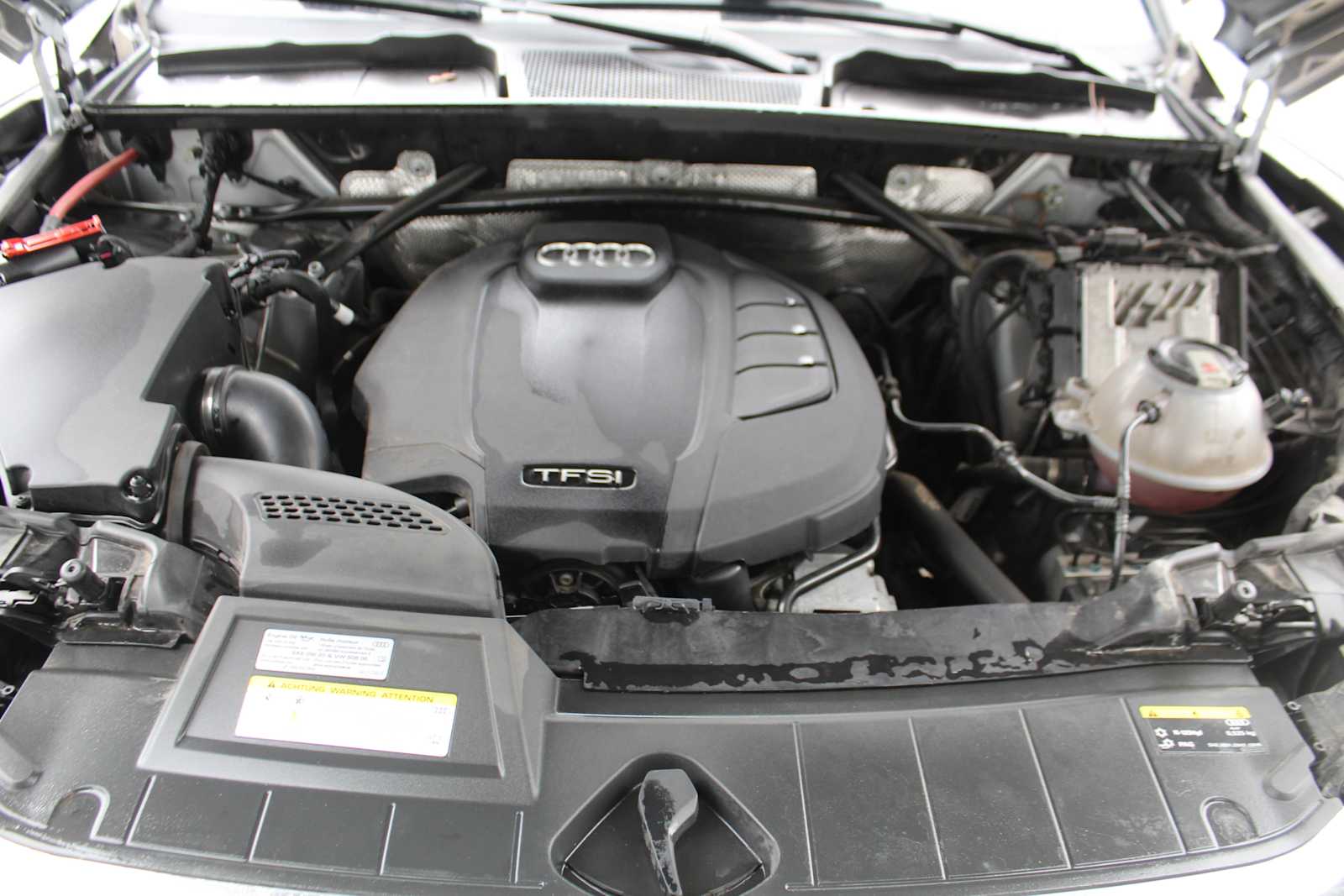 Used 2019 Audi Q5 Premium Plus For Sale in Houston, TX | Capital One ...