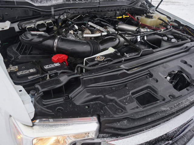 Used 2019 Ford F-250 XLT For Sale in Burnsville, MN | Capital One Auto ...