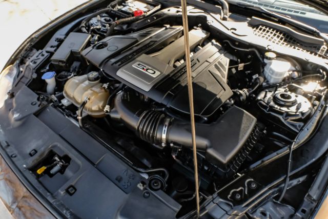 Used 2020 Ford Mustang GT For Sale in Garland, TX | Capital One Auto ...