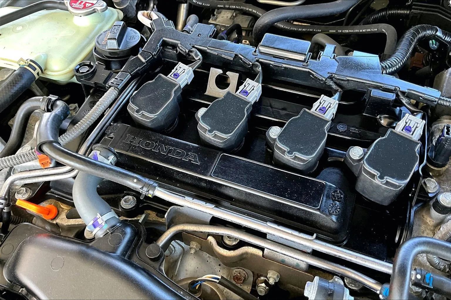 Used 2021 Honda Civic EX For Sale in Jacksonville, FL | Capital One ...