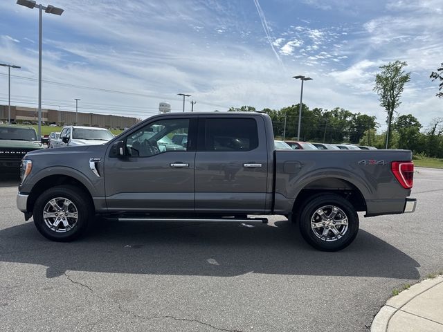 Used Ford F-150 Pickup For Sale Near Me | Auto Navigator