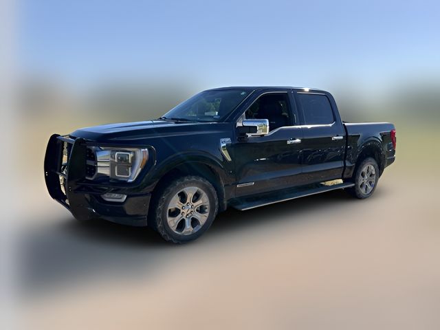 Used 2023 Blue Ford F-150 Pickup For Sale Near Me | Auto Navigator