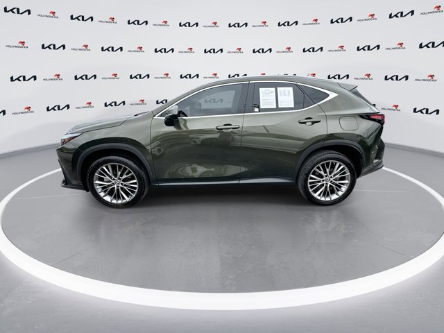 Used 2023 Lexus NX 350h For Sale in Hollywood, FL | Capital One Auto ...