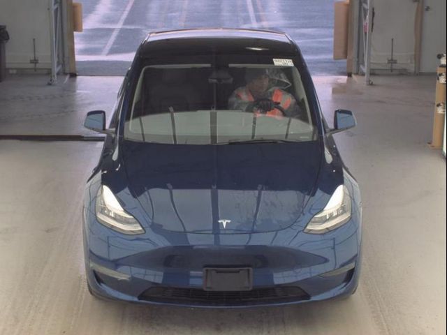 Used Blue Tesla Model Y Base For Sale in Cleveland, OH | Auto Navigator