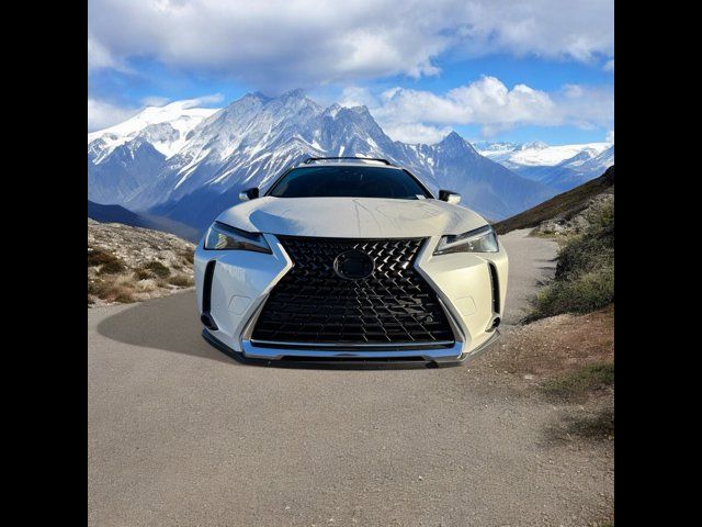 Used Lexus UX UX 300h Premium with Sunroof For Sale in Denver, CO ...