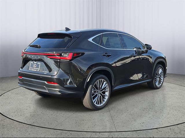 New 2026 Lexus NX 350 Premium For Sale in Palm Bay, FL | Auto Navigator