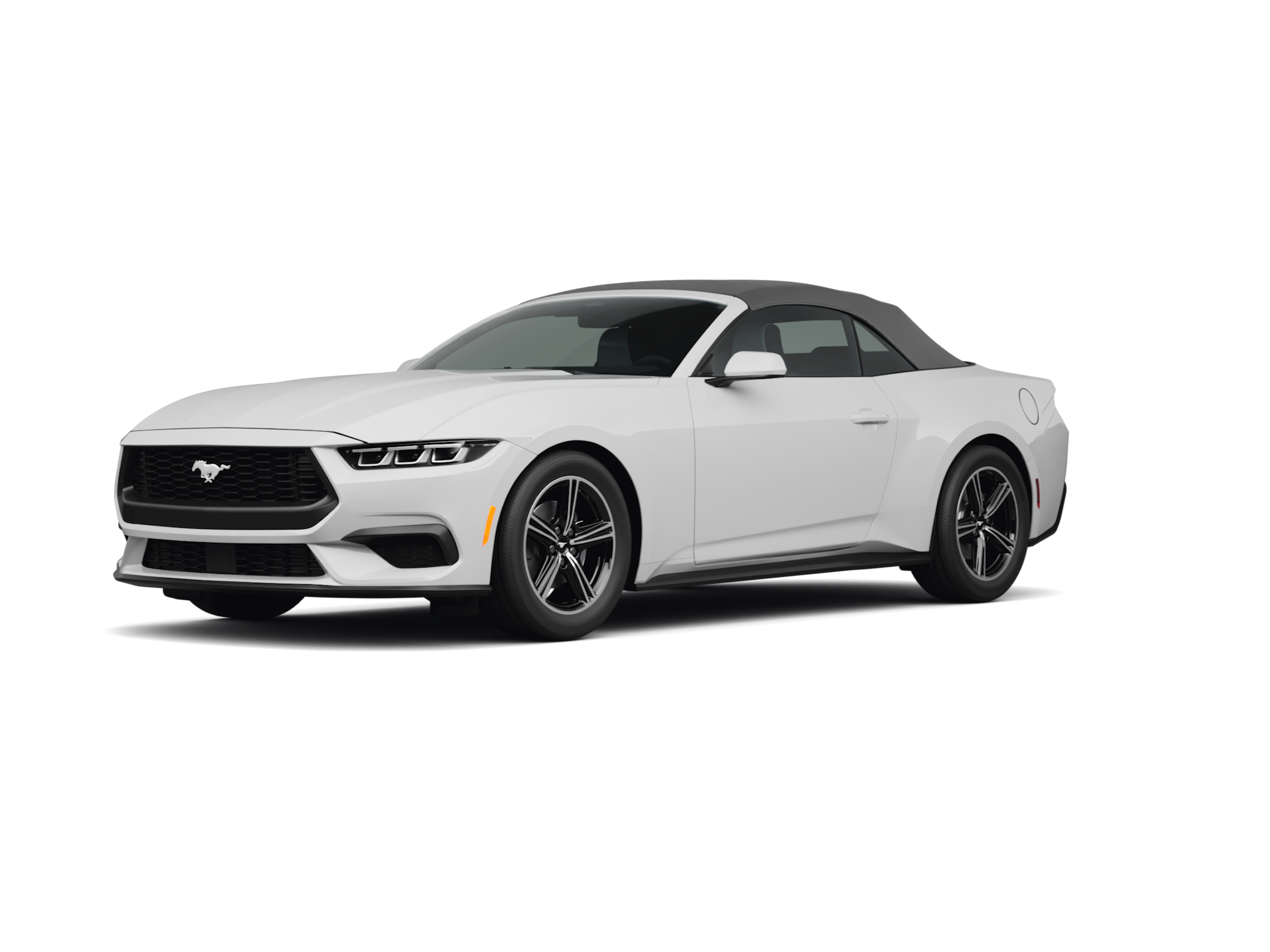 Used 2024 Ford Mustang EcoBoost For Sale in GREAT NECK, NY | Capital ...